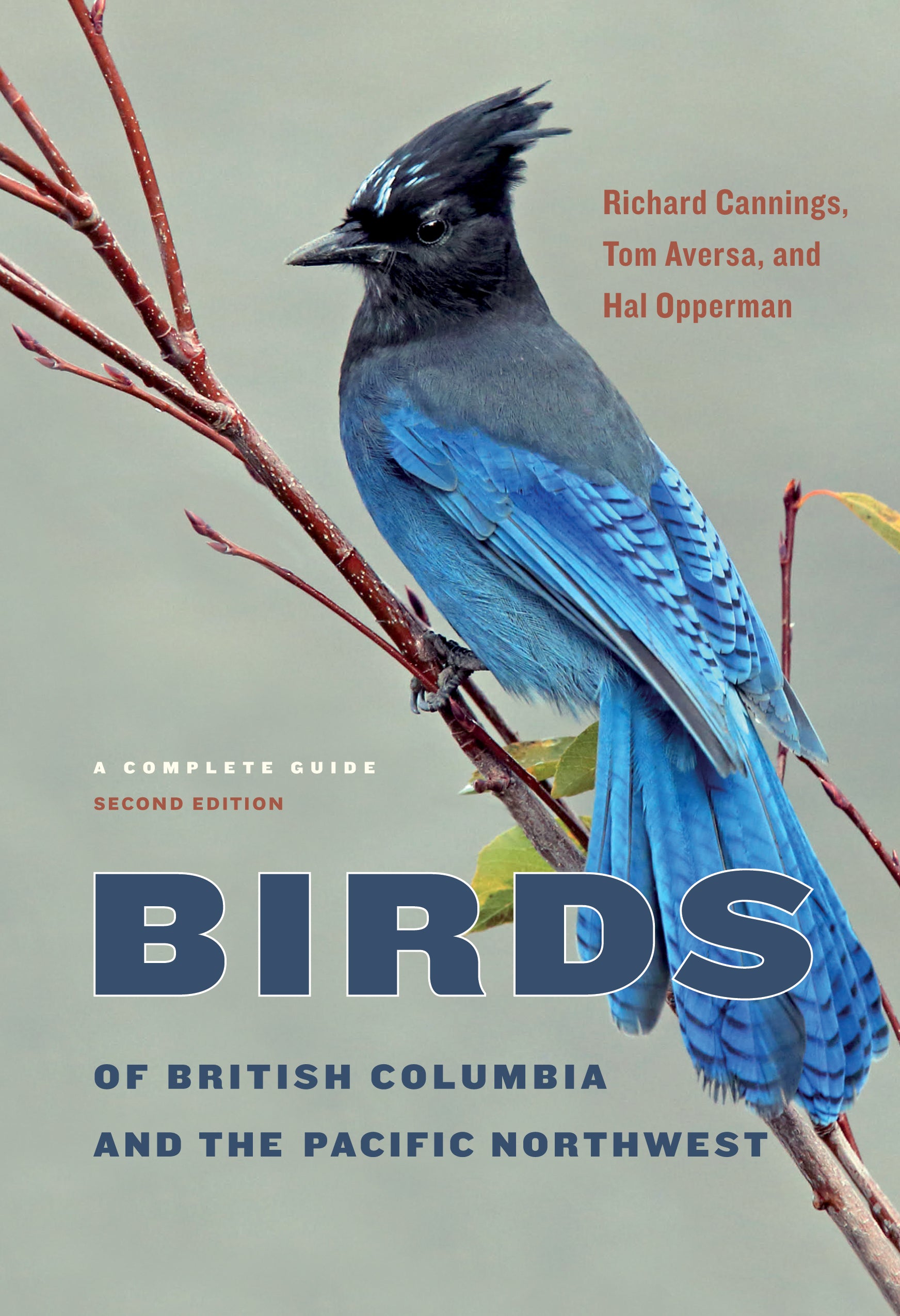 Birds of British Columbia and the Pacific Northwest – Heritage Group ...